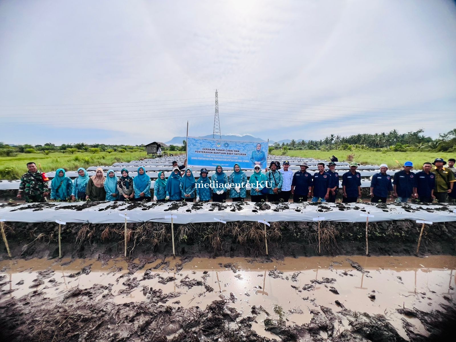Gerakan Tanam Cabai Dorong Ketahanan Pangan Keluarga di Kayong Utara
